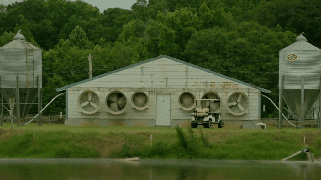 SHARP OBJECTS – Mark Woollen & Associates